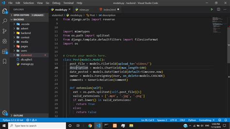 python how can i display either video or image based on file type in