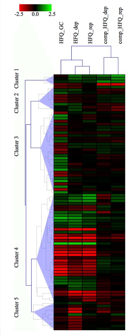 Heatmap Visualization Of The Hfq Modulated Transcripts Heatmap