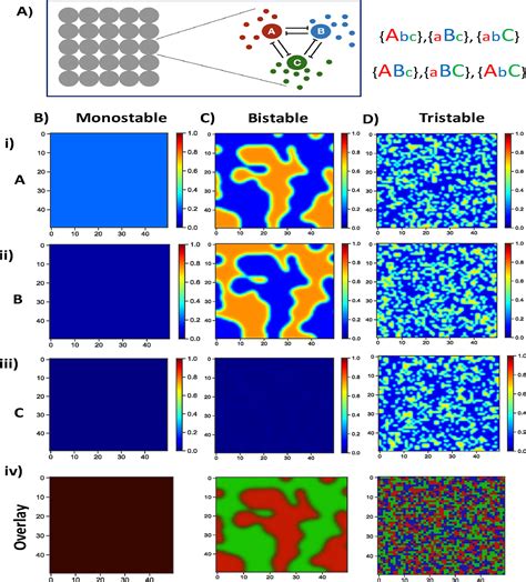 Spatiotemporal Patterning Enabled By Gene Regulatory Networks Acs Omega