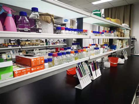 关于微生物技术研究院实验室“安全之星”评比的表彰决定 微生物技术国家重点实验室