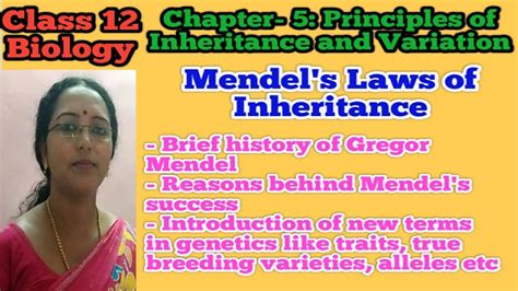 Mendels Laws Of Inheritance Principles Of Inheritance And Variation