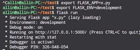 flask app debug true，python manage py和export flask debug