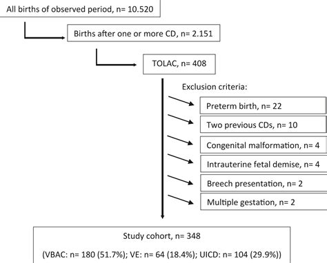 Success Of Vaginal Birth After Cesarean Section Vbac 43 Off