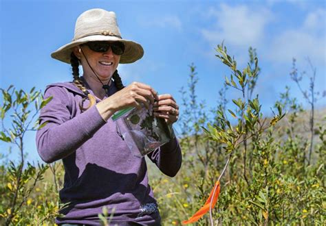 Sex And The Volcano Researcher Learns Nature Favors Females In New Creeks