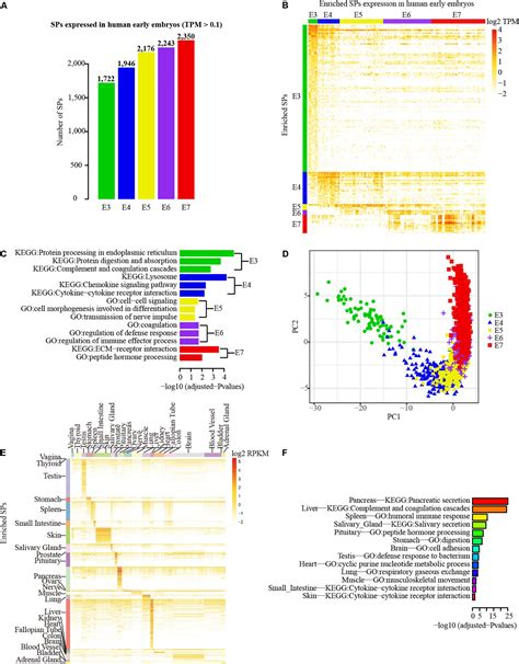 Frontiers Comprehensive Identification And Characterization Of Human