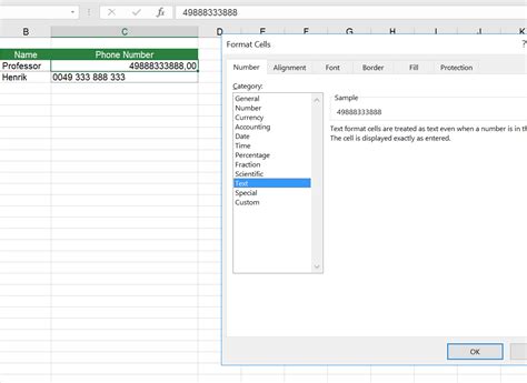 format cells text professor excel hot sex picture