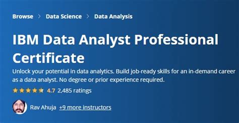 ibm data analyst professional certificate complete certification