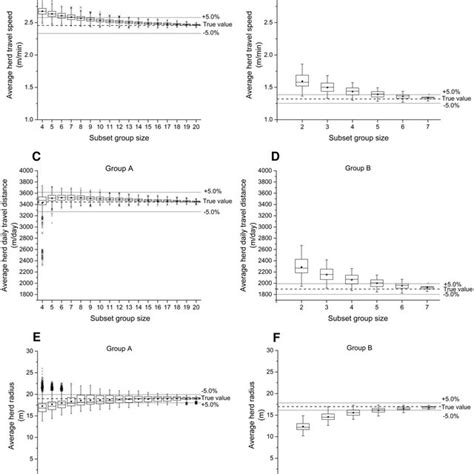 Effects Of Subset Group Size On Measurement Of Group Movement