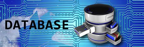 what is the difference between drop and delete in sql