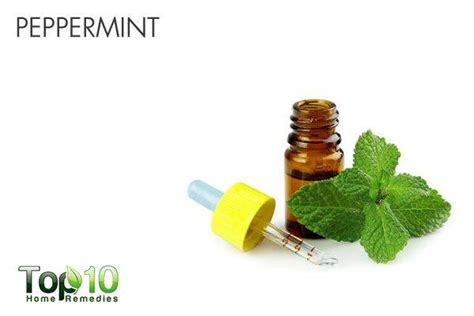 10 Natural Mosquito Repellents That Really Work Top 10 Home Remedies