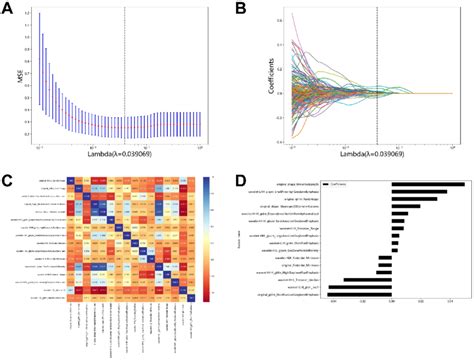 lasso algorithm for radiomics feature selection a mean square error