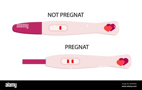 Pregnancy Test Icons Ovulation Medical Tests Result Test Pregnant