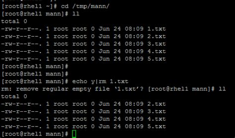 how to auto answer yes or no to linux unix commands ux