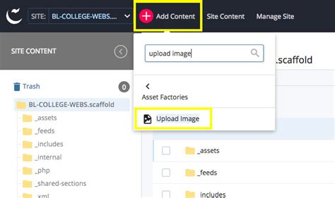 uploading an image training materials web training college