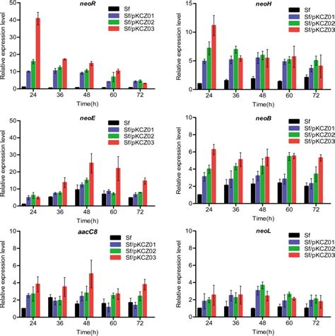 rt qpcr transcriptional analysis of genes involved in neomycin