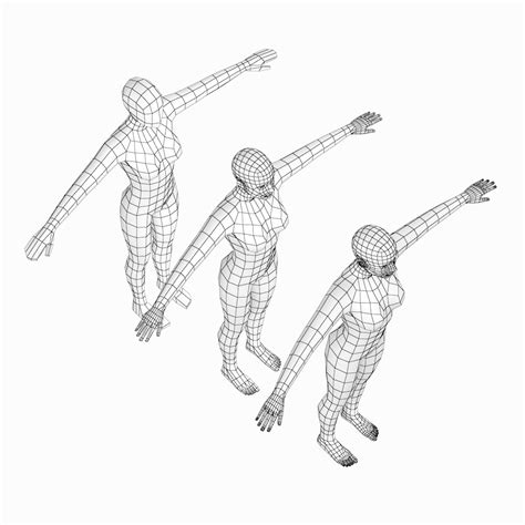 Proporções Naturais De Malha De Base Feminina E Masculina Em T Pose