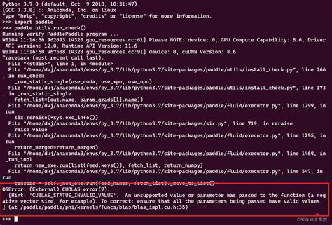 ai训练环境 cuda cudnn paddle ——‘cublas status invalid value‘ 大东杰的博客 csdn博客