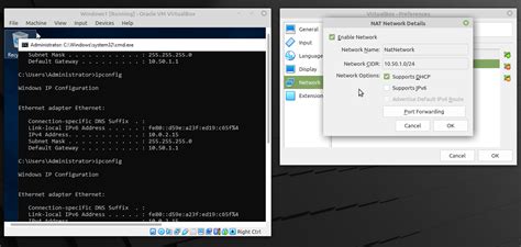 virtualbox vbox nat network handing out wrong ip address subnet