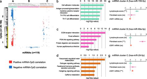 Identification Of Mirna Methylation Quantitative Trait Loci Mimqtl