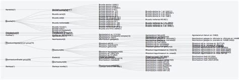 javascript d3js tree layout vertical distance between text of circle
