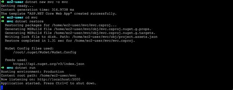 run dotnet core apps without console output kagarlickij dmitriy