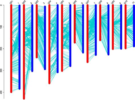 Collinearity Analysis Between Genetic Map And Physical Map A The Left