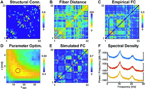 Pairwise Measures Of Connectivity And Distance Between All 33x33 Region