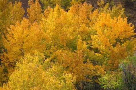 how to do histogram matching using opencv automatic addison