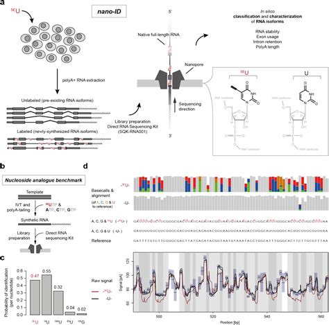 Rna Seq Library Preparation Cultures Oxford Nanopore Bioz