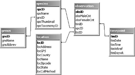 the relational data structure used in the mysql 5 database behind