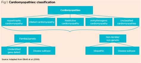 Cardiomyopathies 1 Classification Pathophysiology And Symptoms