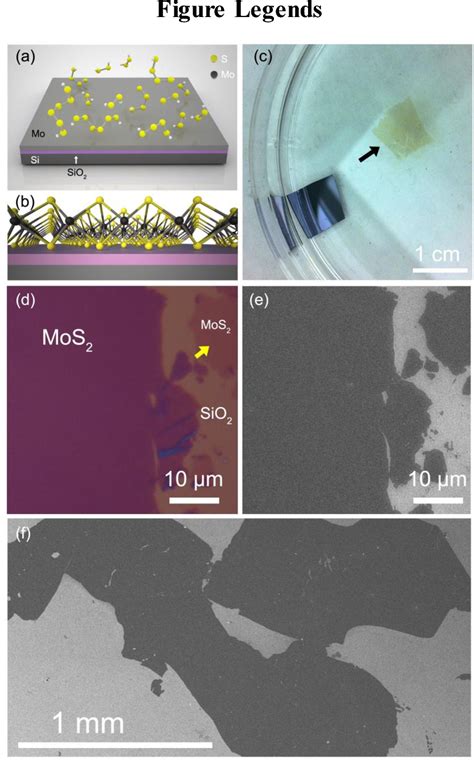 Figure 1 From Large Area Vapor Phase Growth And Characterization Of