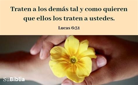 93 Versículos De Amor Para Construir Relaciones Fuertes Y Sinceras Biblia
