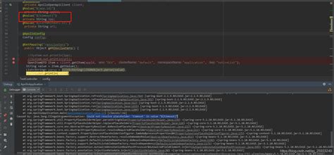 apollo could not resolve placeholder xxx in value {xxx} apollo