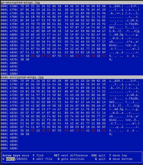 go trouble with getting correct tag for 256 bit aes gcm encryption in