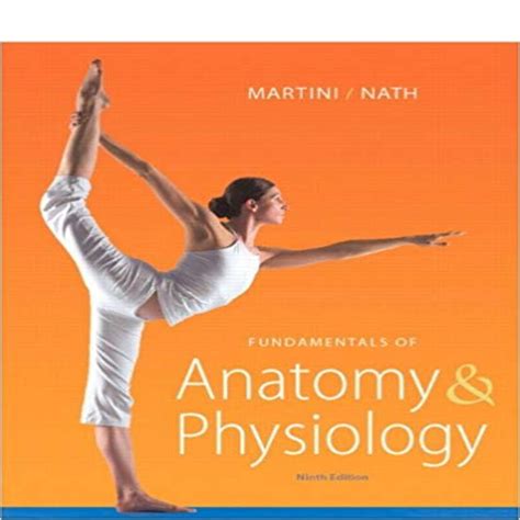 Fundamentals Of Anatomy Physiology 9th Edition Test Bank