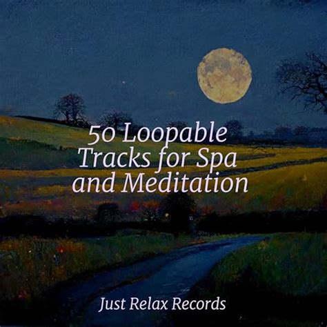 Play 50 Loopable Tracks For Spa And Meditation By Lucid Dreaming World