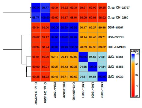 Microorganisms Free Full Text Ornithobacterium Rhinotracheale