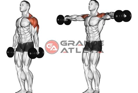21 Exercícios Para Fazer Em Casa Treino Completo Com Halteres