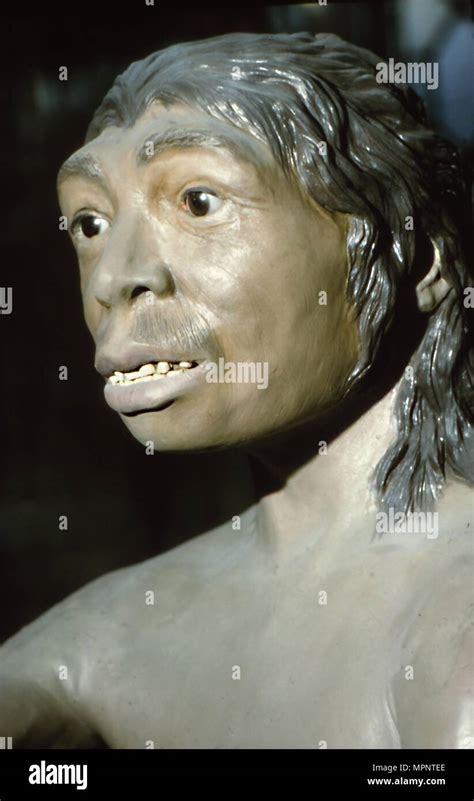 Neanderthal Woman Reconstruction