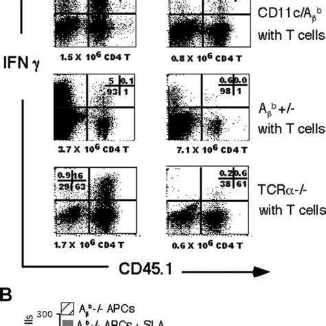 Lcs B Cells And Macrophages Lack Mhc Ii Expression In Cd11c Aβb Mice