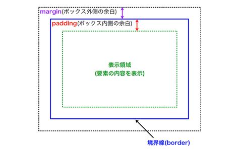 marginとpaddingとは？基礎から解説！ゼロから始めるhtml css講座vol08 codecampus