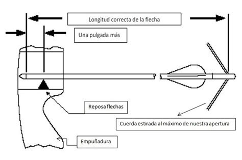 Partes De Una Flecha