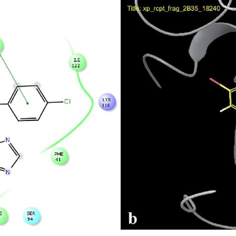The Binding Model Of Docked Compound J27 With Enoyl Acp Reductase