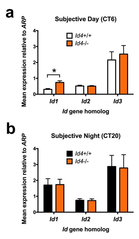 Ijms Free Full Text Targeted Disruption Of The Inhibitor Of Dna