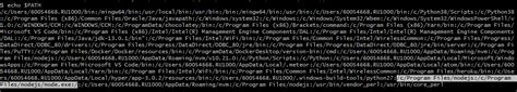 node js node and npm are installed but git bash doesn t recognize