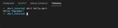 dart programming language