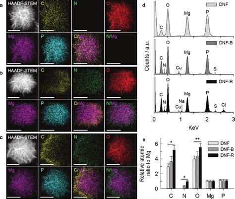 Stem Eds Analysis Of Protein Entrapped Dnf Representative Haadf Stem