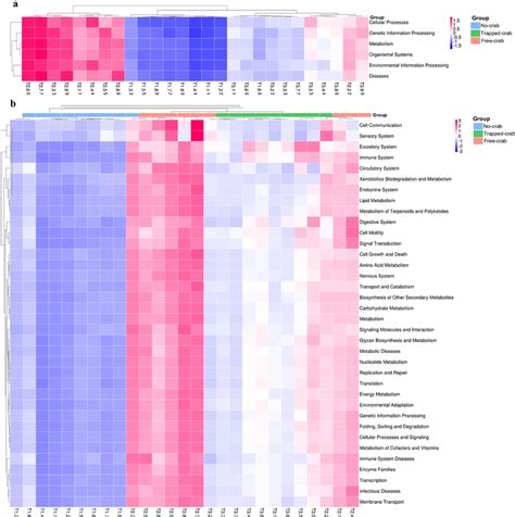 Relative Abundance Of Predicted Functional Pathways And Categories