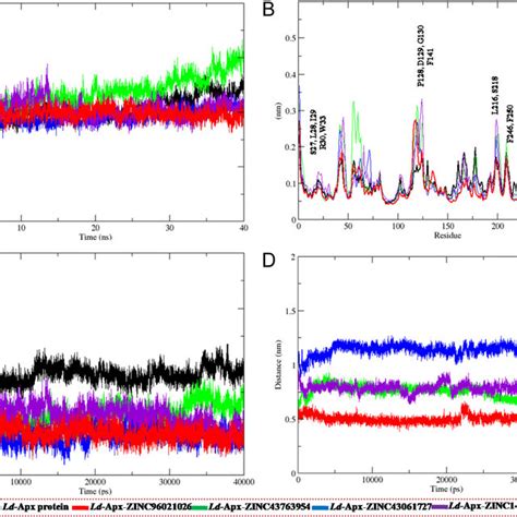 Molecular Dynamics Simulation Analysis During A Time Span Of 40 Ns A